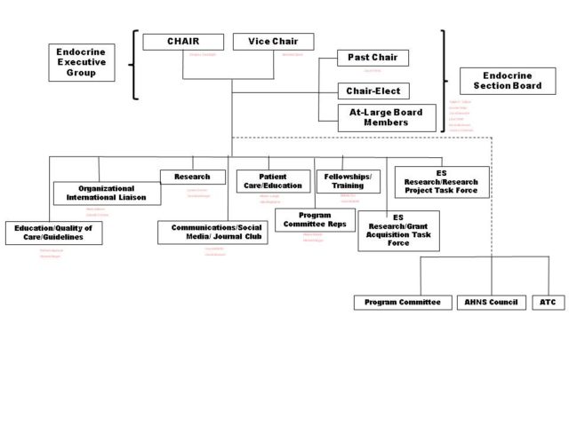 Organizational Chart - American Head & Neck Society