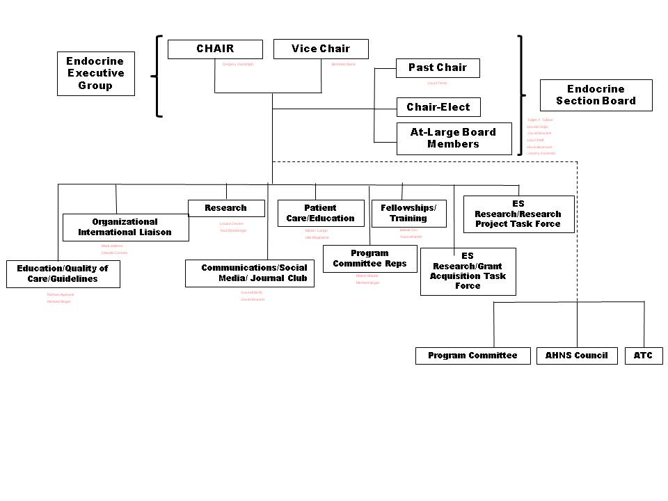 Organizational Chart - American Head & Neck Society